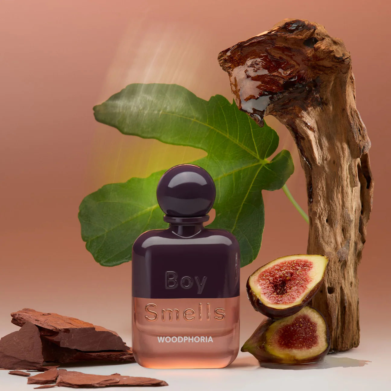 Boy Smells Woodphoria | Woody Floral Perfume – Scented Samples